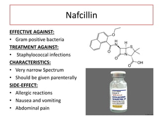 Beta Lactam Antibiotics | PPTX