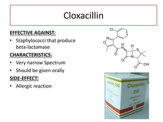 Beta Lactam Antibiotics | PPTX