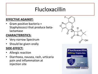 Beta Lactam Antibiotics | PPTX