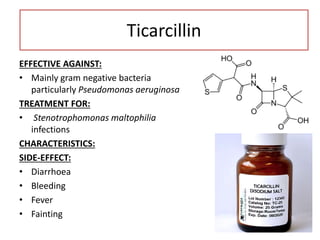 Beta Lactam Antibiotics | PPTX