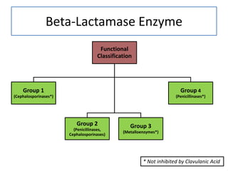 Beta Lactam Antibiotics | PPTX