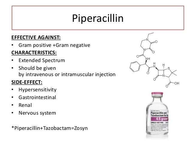 Beta Lactam Antibiotics
