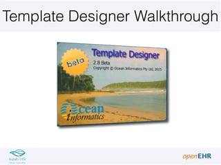 2 1 open_ehr templates in detail | PDF