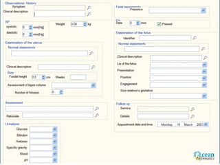 2 1 open_ehr templates in detail | PDF