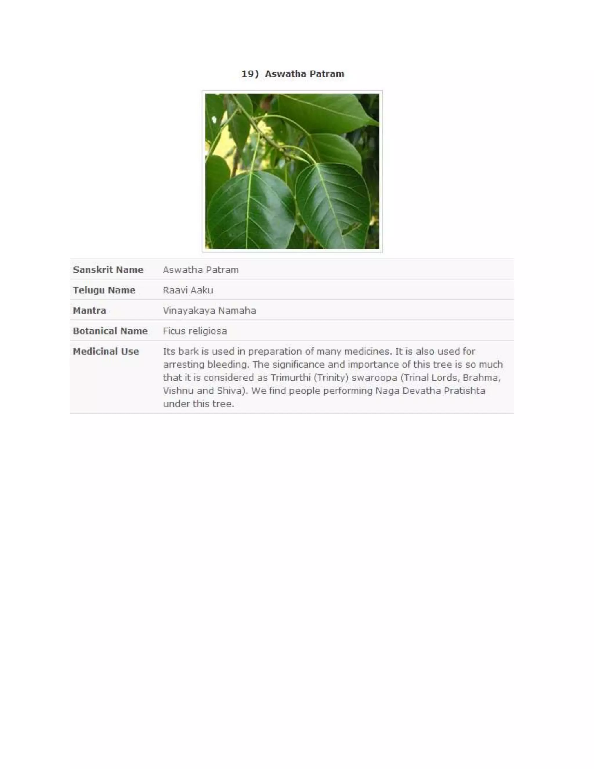 21 patra with telugu names and mantra for vinayaka chavithi | DOCX