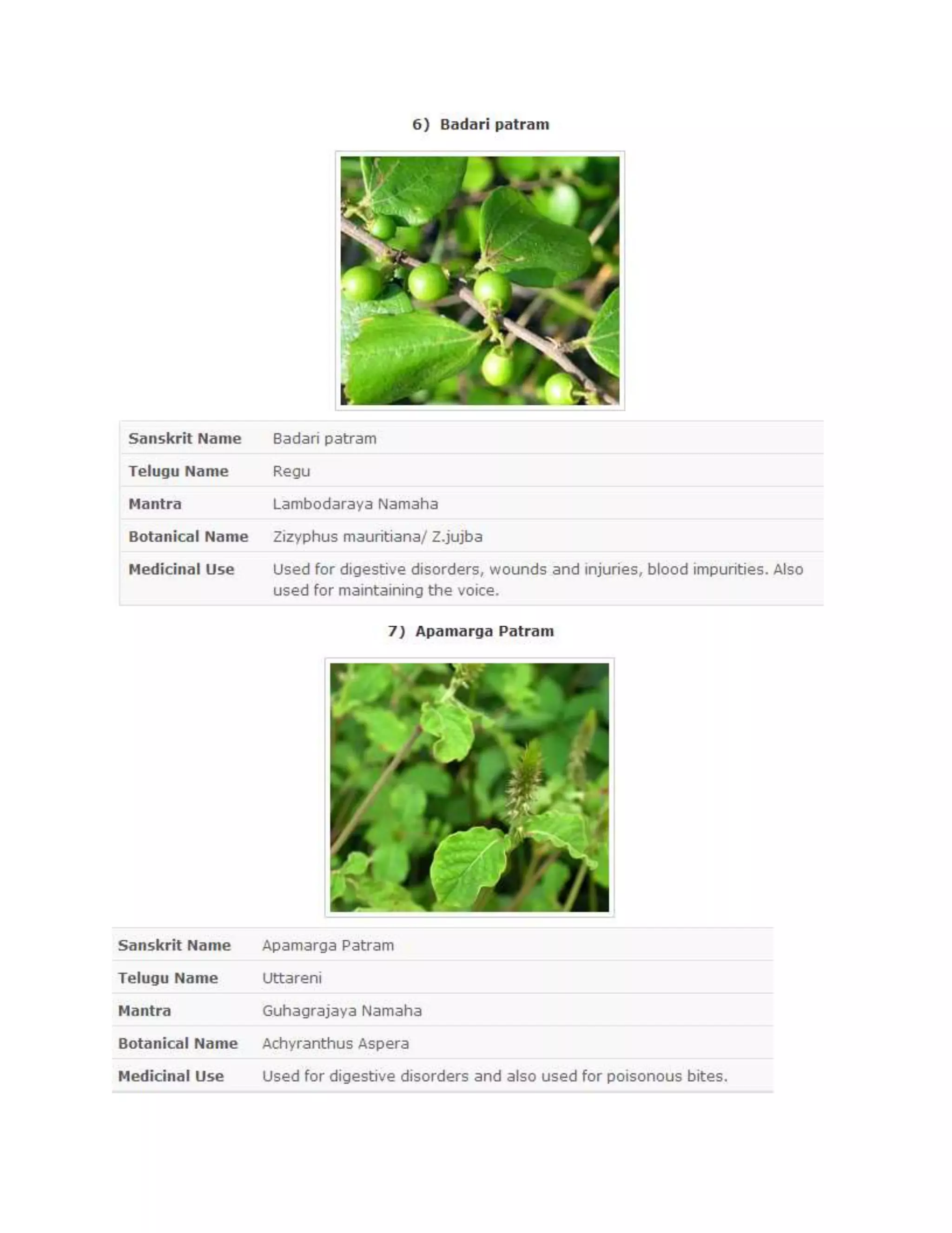 21 patra with telugu names and mantra for vinayaka chavithi | DOCX