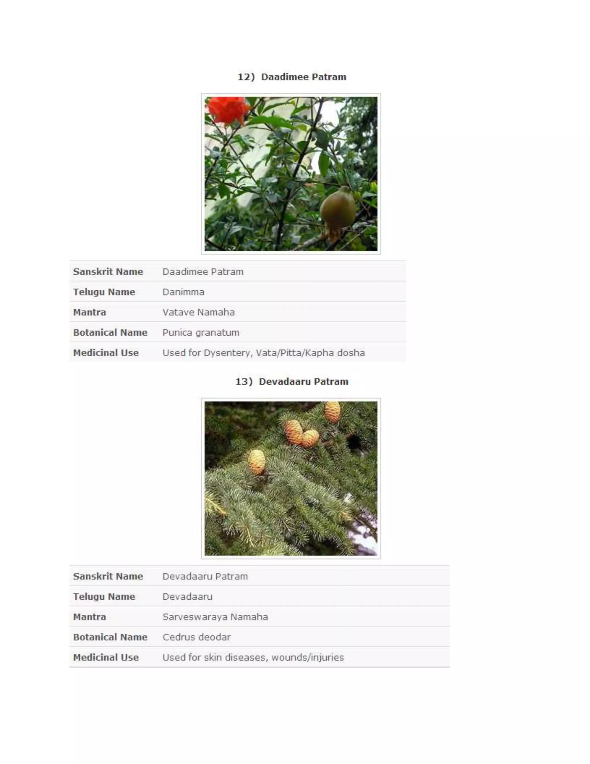 21 patra with telugu names and mantra for vinayaka chavithi | DOCX