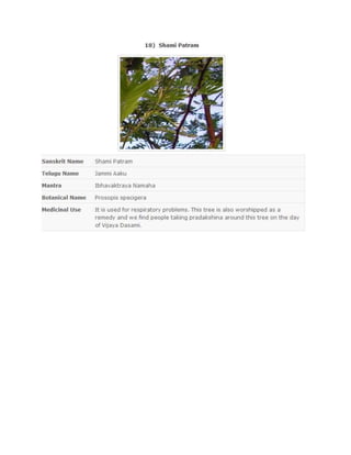 21 patra with telugu names and mantra for vinayaka chavithi | DOCX