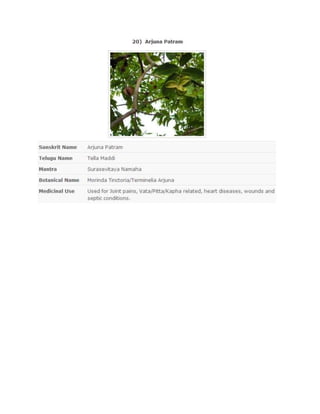 21 patra with telugu names and mantra for vinayaka chavithi | DOCX