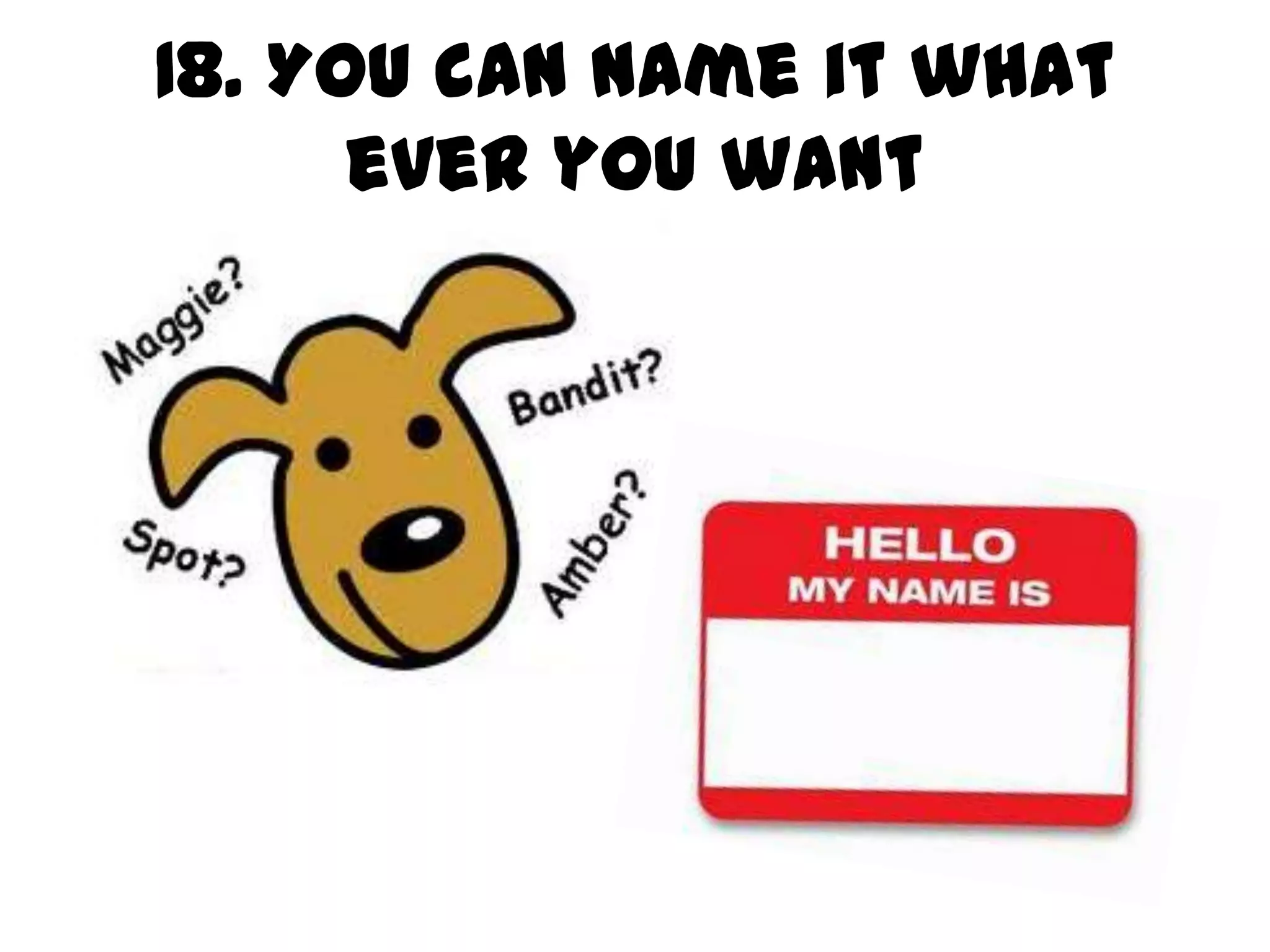 21 reasons why we should get a dog | PPTX