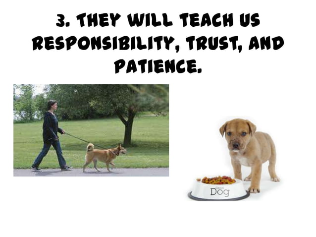 21 reasons why we should get a dog | PPTX