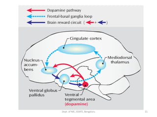 21SFH19-SFH_Module 4 - Avoiding risks and harmful habits.pdf