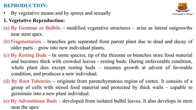 Structure, reproduction, life history and systematic position of Lycopodium | PPTX
