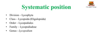Structure, reproduction, life history and systematic position of ...
