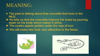 crocodile poem | PPTX