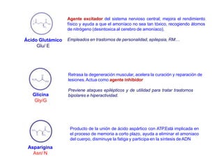 BIOLOGÍA MOLECULAR2 (1y2) - Principios en biología molecular parte 2.pptx