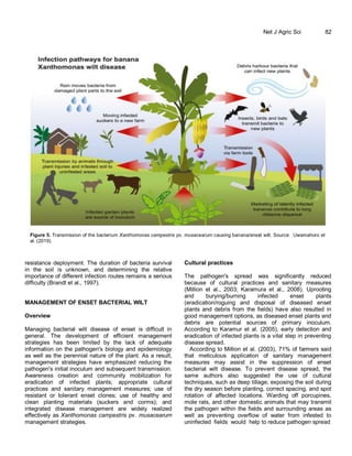Importance, biology, epidemiology, and management of Xanthomonas ...