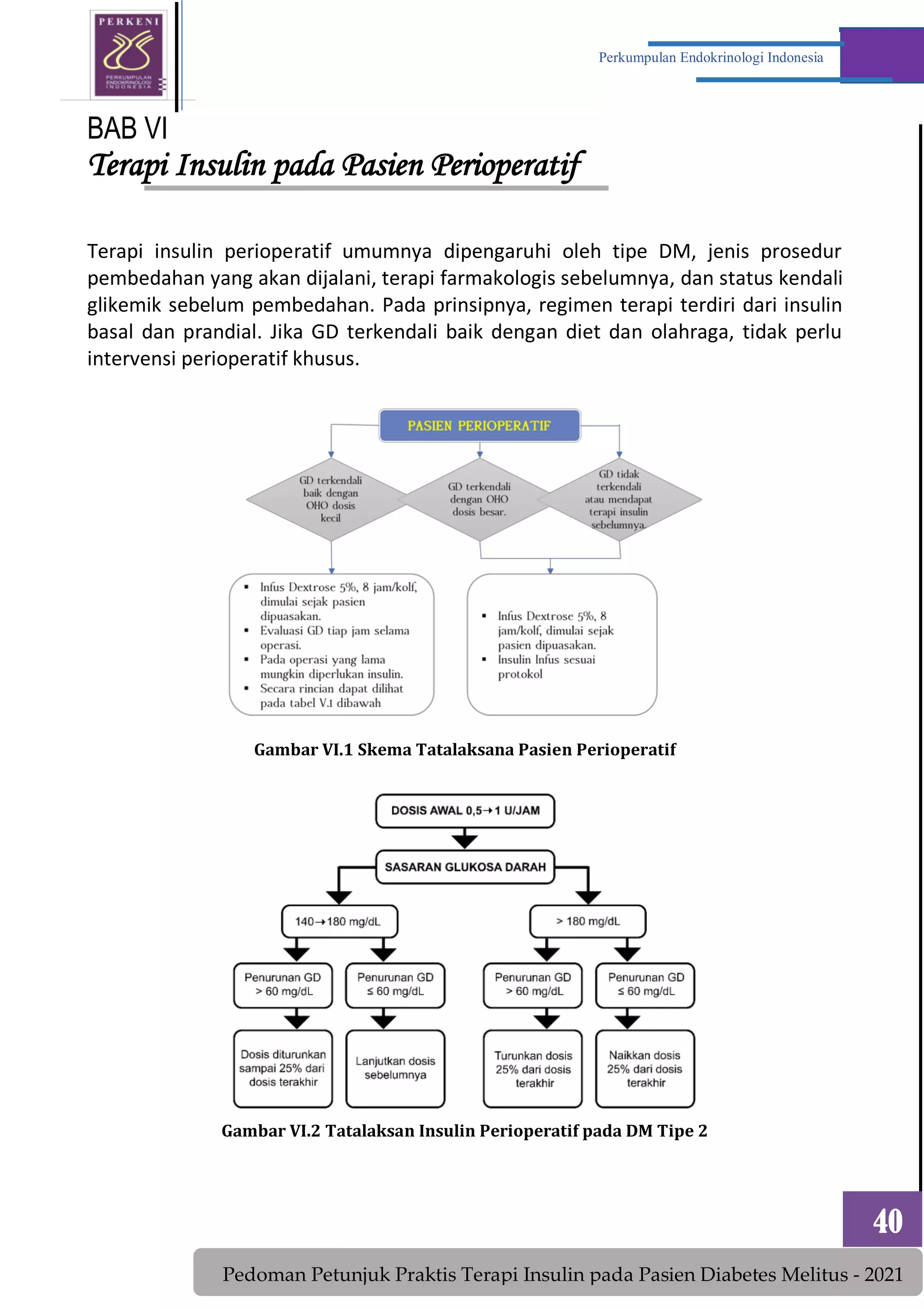 22-10-21-_-Website-Pedoman-Petunjuk-Praktis-Terapi-Insulin-Pada-Pasien ...