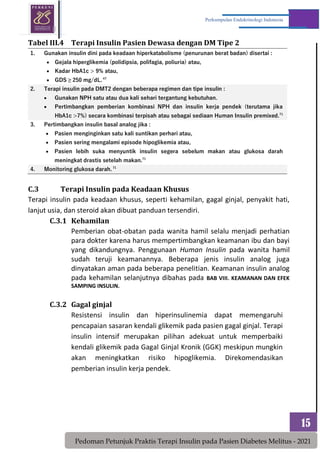 22-10-21-_-Website-Pedoman-Petunjuk-Praktis-Terapi-Insulin-Pada-Pasien ...
