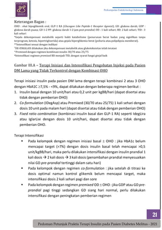 22-10-21-_-Website-Pedoman-Petunjuk-Praktis-Terapi-Insulin-Pada-Pasien ...