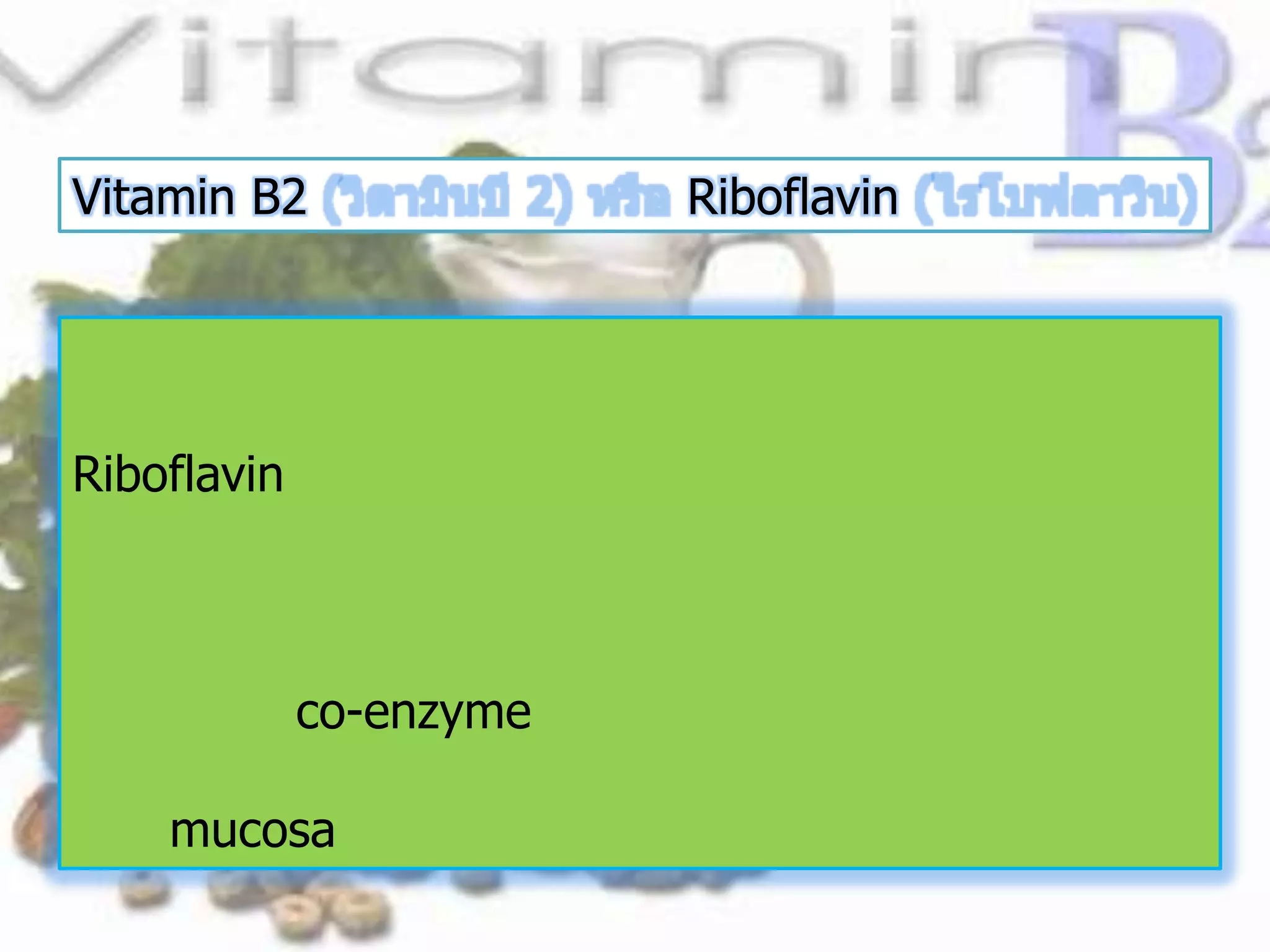 vitamin B2 | PPTX