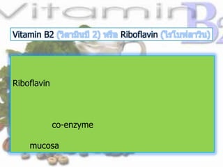 vitamin B2 | PPTX
