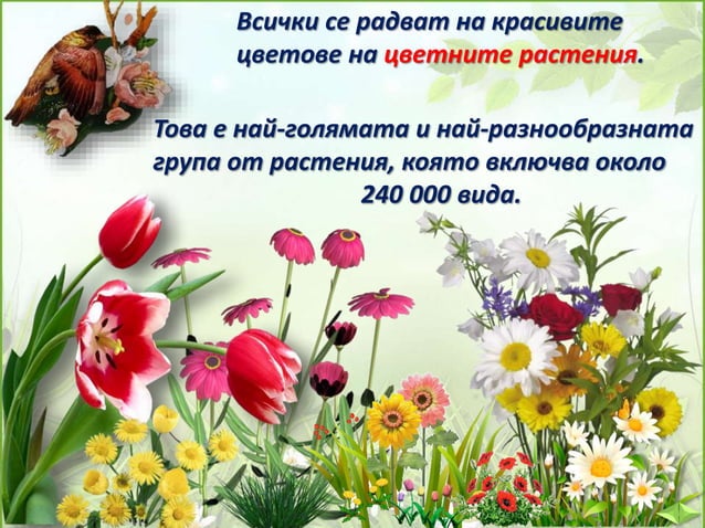 22 Размножаване на растенията ЧП 4 клас Булвест Ppt