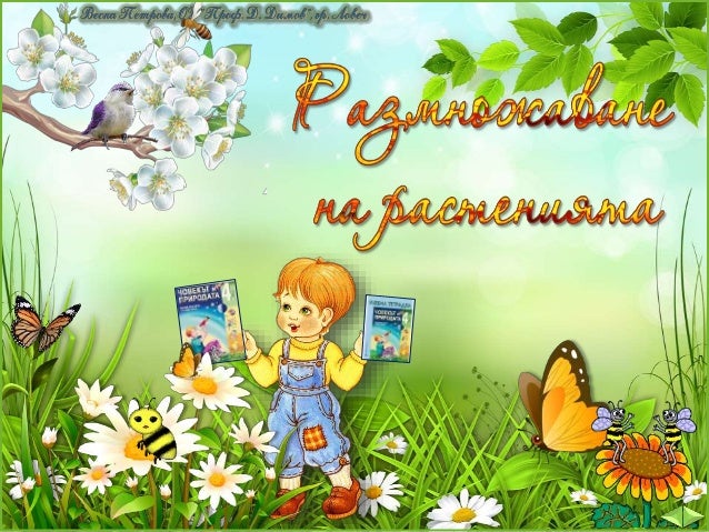 22 Размножаване на растенията ЧП 4 клас Булвест