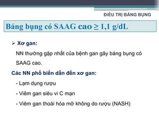 Saag là gì? Tìm hiểu nghĩa, cách sử dụng và các món ăn nổi tiếng từ Saag