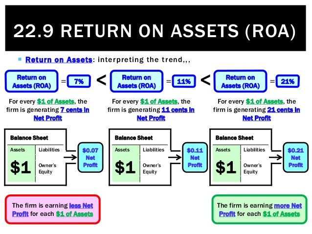 22.9 Return on Assets (ROA)