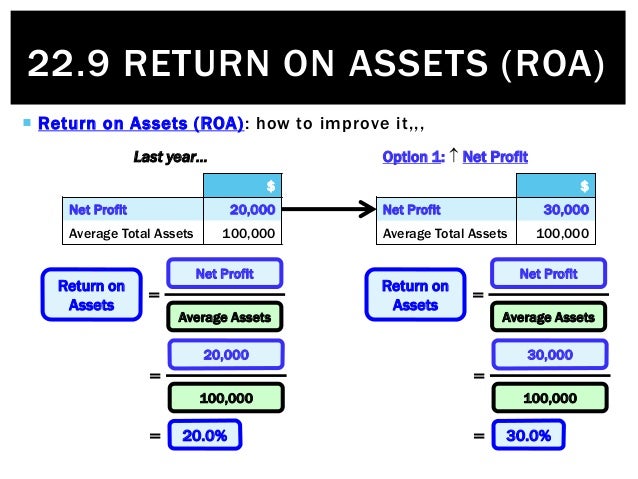 22.9 Return on Assets (ROA)