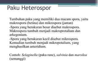 Tumbuhan Paku | PPTX