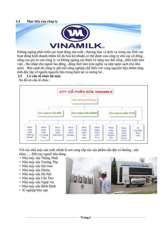 Tiểu luận phân tích chiến lược kinh doanh của công ty vinamilk_Nhận làm luận văn Miss Mai 0988. ...