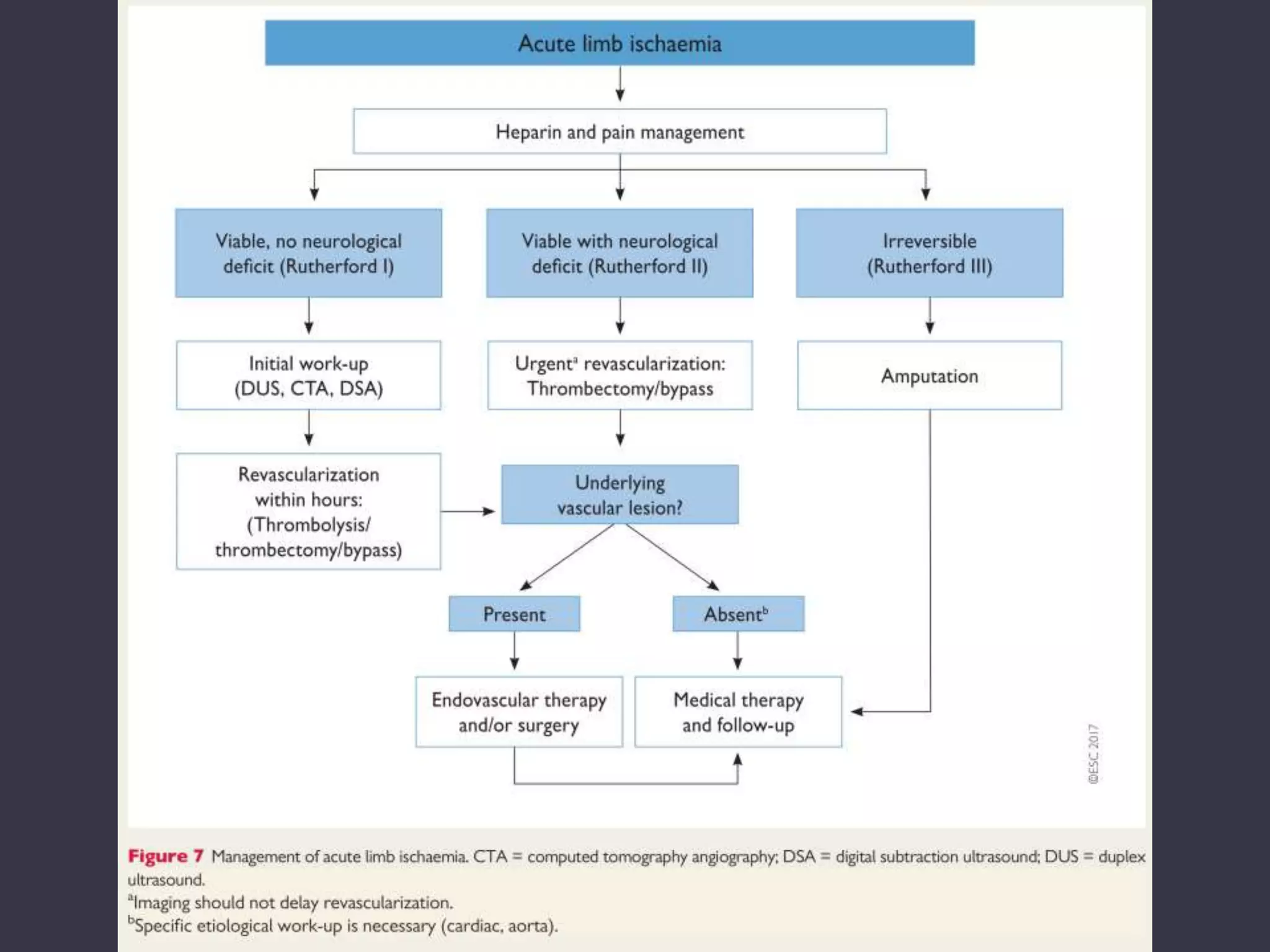 22.2.2018 acute limb ischemia vs critical limb ischemia | PPTX