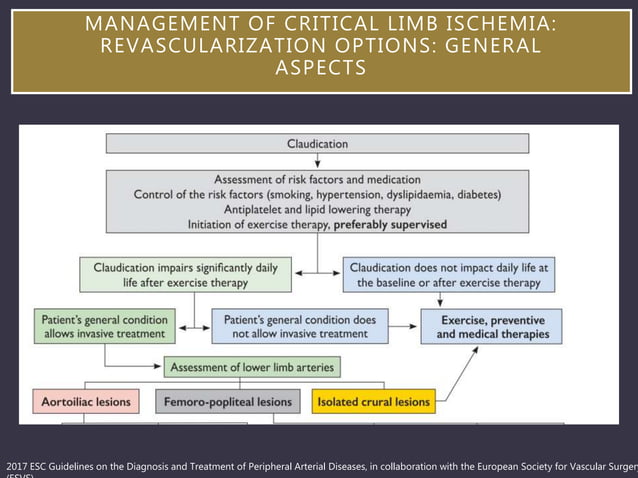 22.2.2018 acute limb ischemia vs critical limb ischemia | PPTX