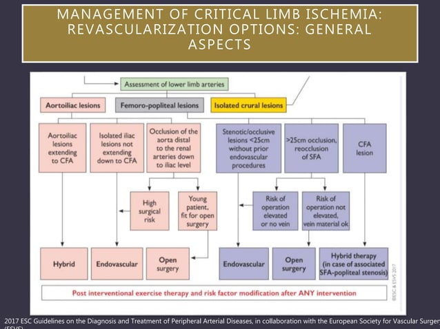 22.2.2018 acute limb ischemia vs critical limb ischemia | PPTX