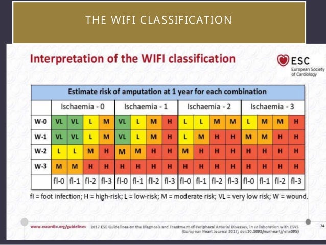 22.2.2018 acute limb ischemia vs critical limb ischemia
