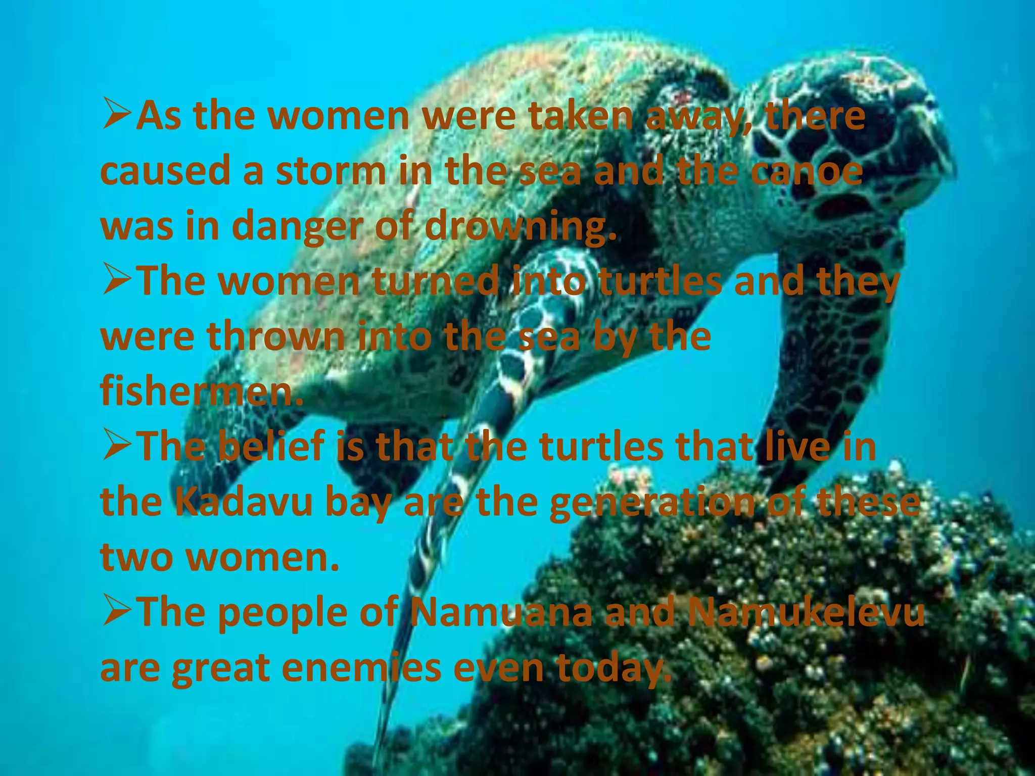 The Sacred Turtles of Kadavu | PPTX