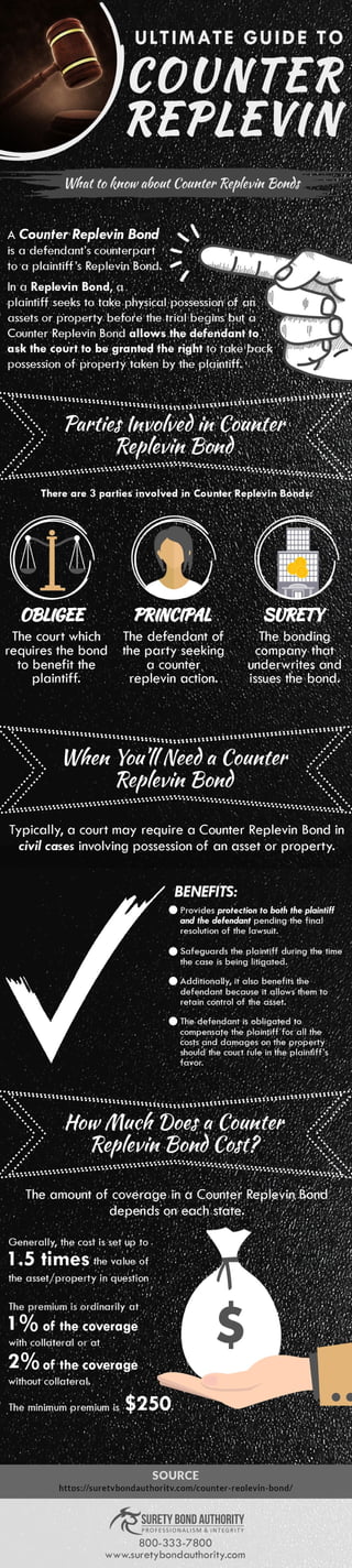 Ultimate Guide to Counter Replevin Bonds | PDF