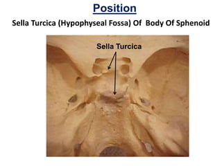 Histology of endocrine glands | PPTX