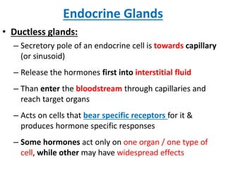 Histology of endocrine glands | PPTX