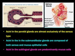 22. diseases of salivary glands kk | PPT