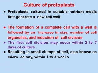 22.Protoplast culture | PPT