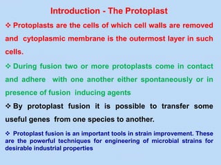 22.Protoplast culture | PPT | Biological Sciences | Science