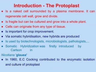 22.Protoplast culture | PPT | Biological Sciences | Science