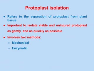 22.Protoplast culture | PPT | Biological Sciences | Science
