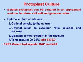 22.protoplast culture | PPT