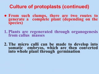 22.protoplast culture | PPT