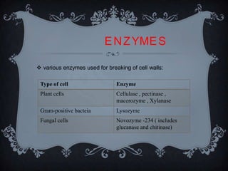 22.protoplast culture | PPT