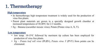 Production of disease free planting materials | PDF